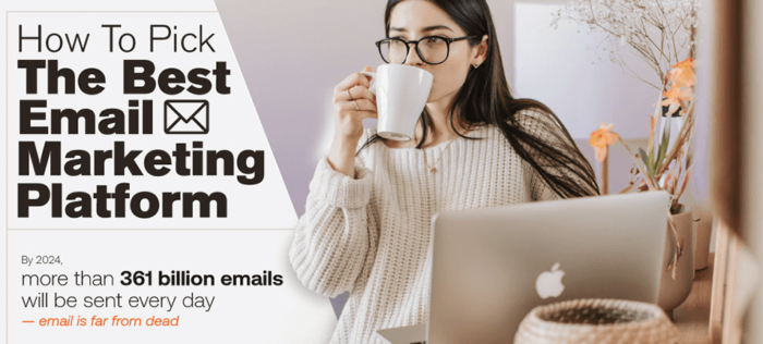 How to Pick the Best Email Marketing Services – Infographic-Directory.com